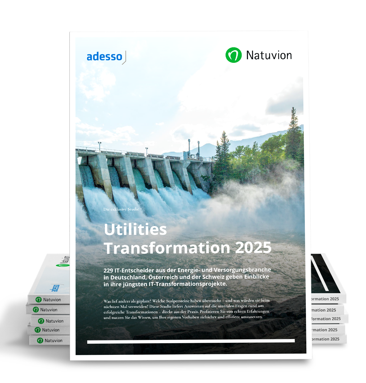 DACH Utilities Transformationsstudie 2025